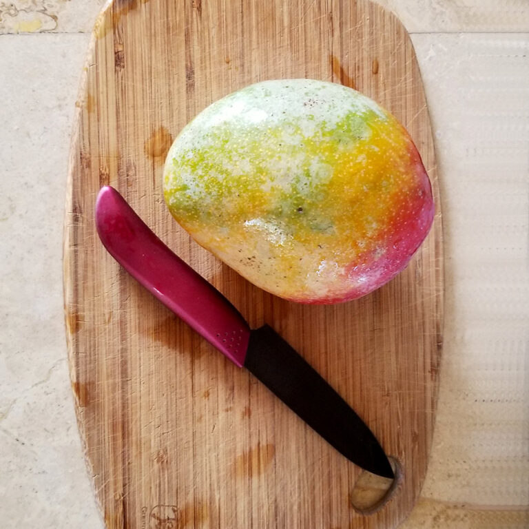 How to Make Mango Puree - Burlesque Moms