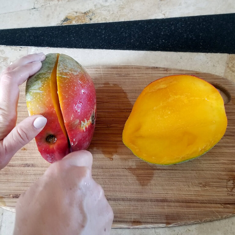 How to Make Mango Puree - Burlesque Moms