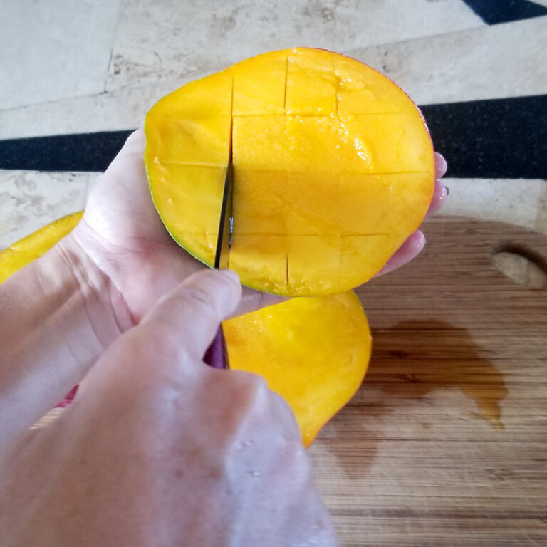 How to Make Mango Puree - Burlesque Moms