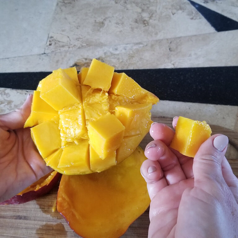 How to Make Mango Puree - Burlesque Moms